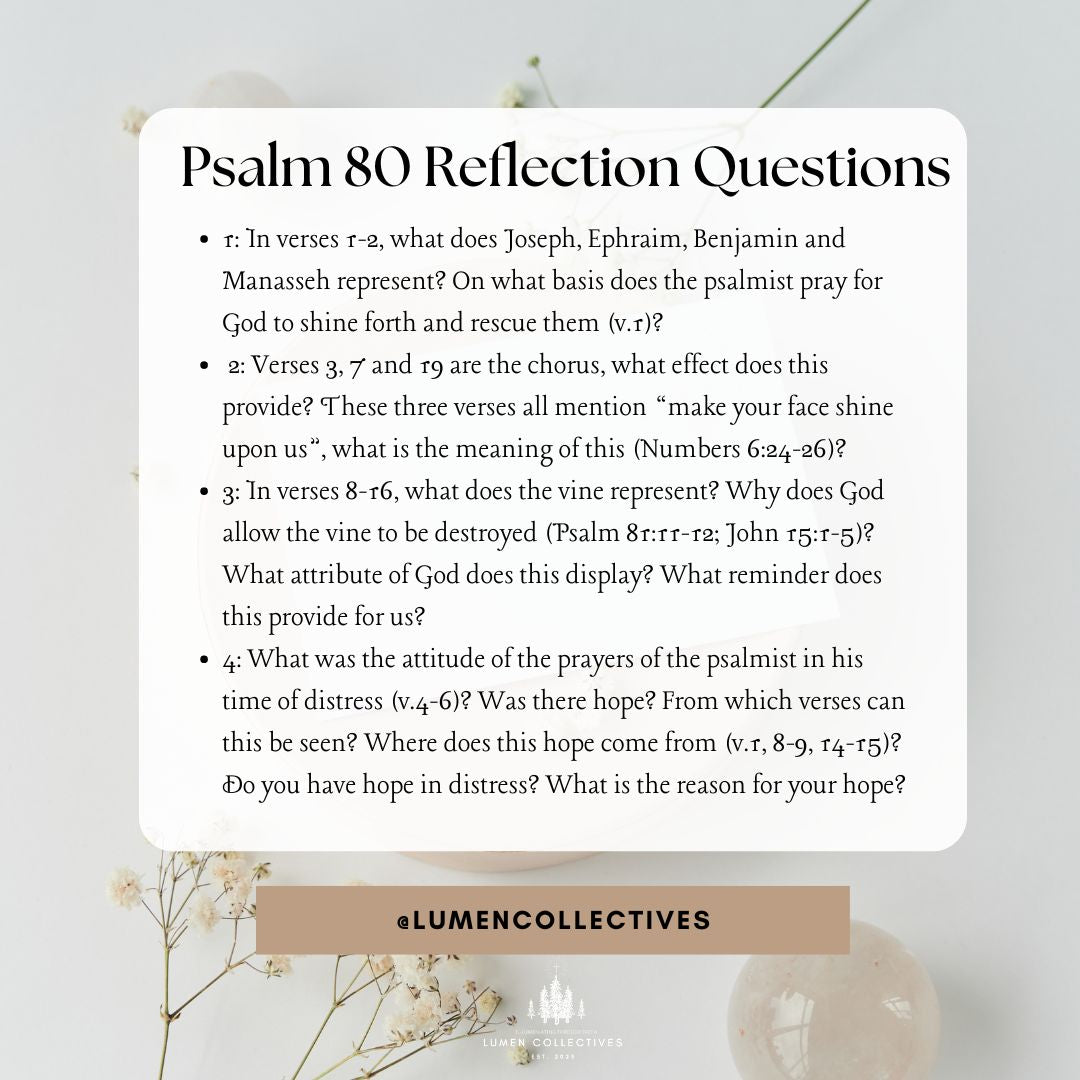 Daily Chapter---Psalm 80 Reflection Question – Lumen Collectives